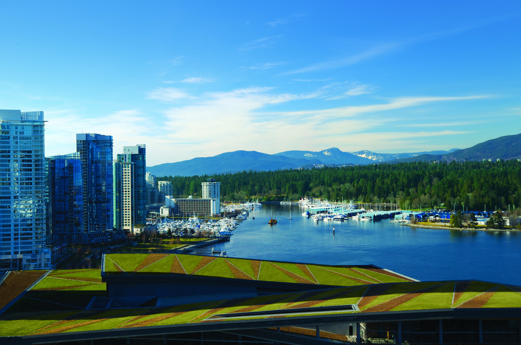 8 Shades of Green Infrastructure | SPUR