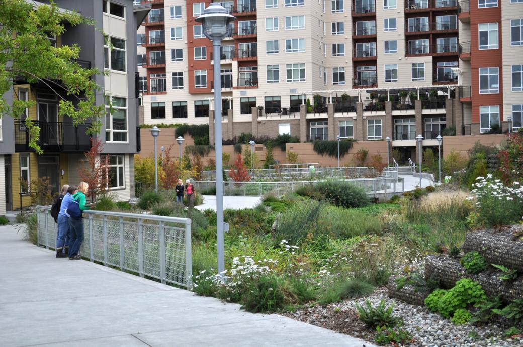 8 Shades of Green Infrastructure | SPUR