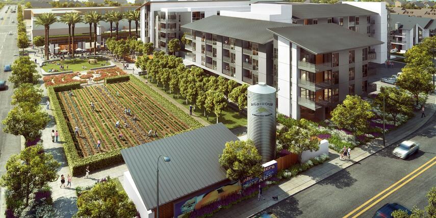 Agrihood: A Tour of California's Largest Urban Farm and Affordable ...
