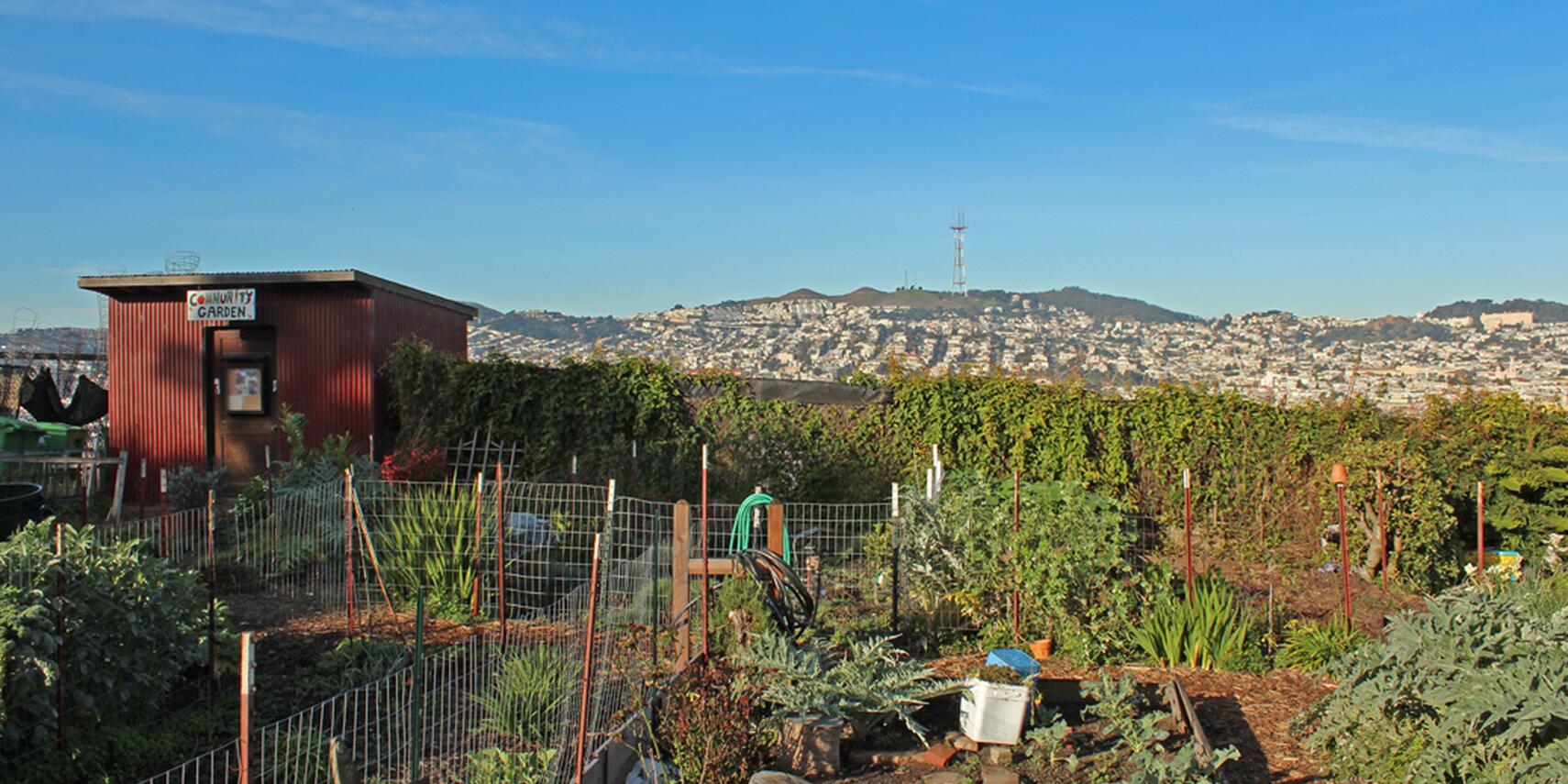 The Evolution of Urban Ag | SPUR
