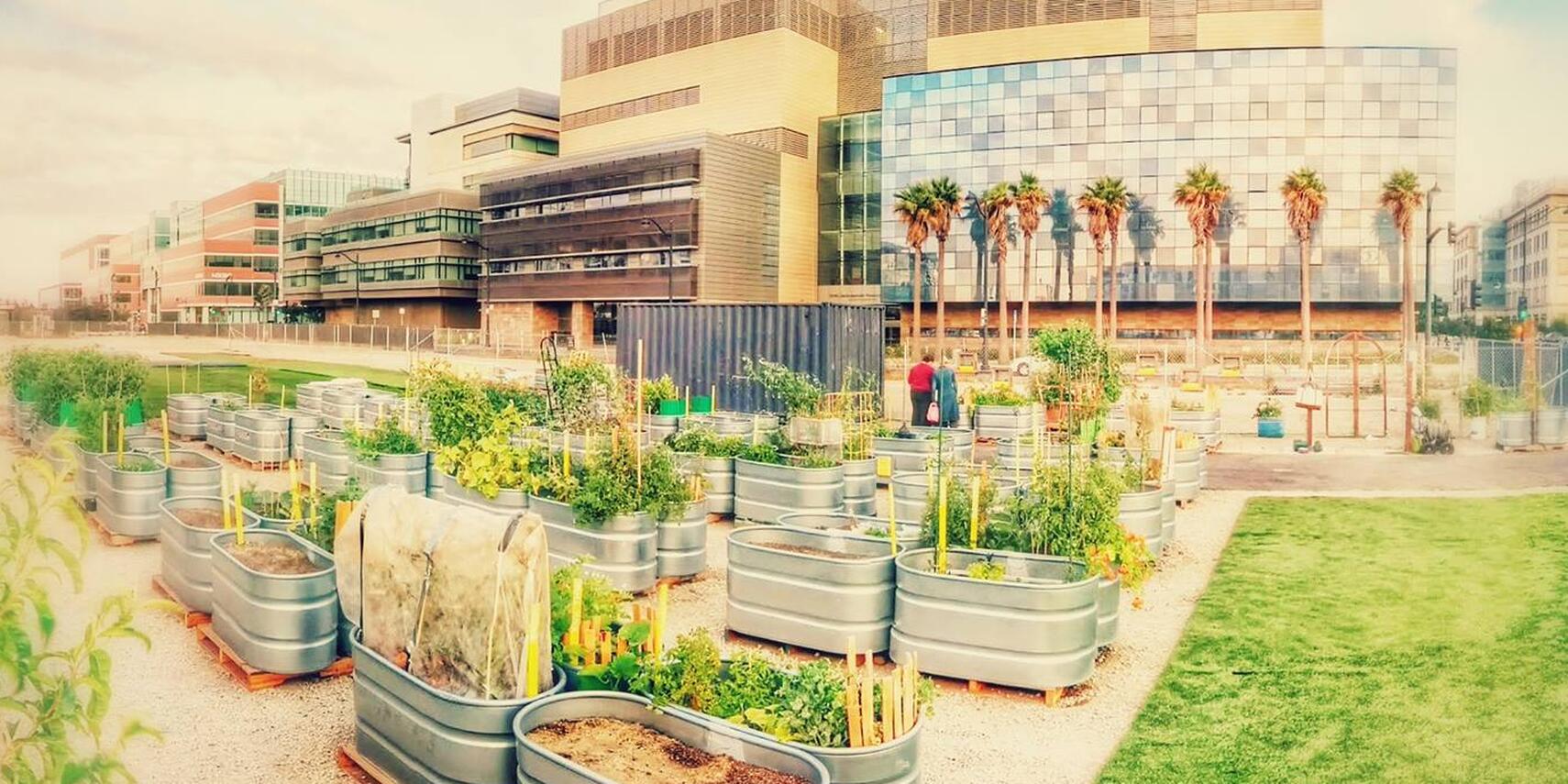 A Movable Community Garden | SPUR