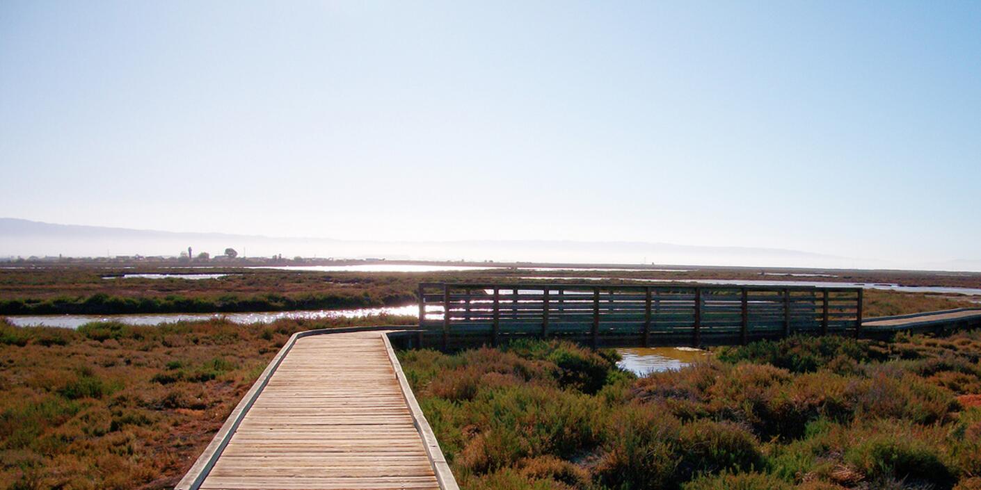 Charting Course on the Bay Trail | SPUR