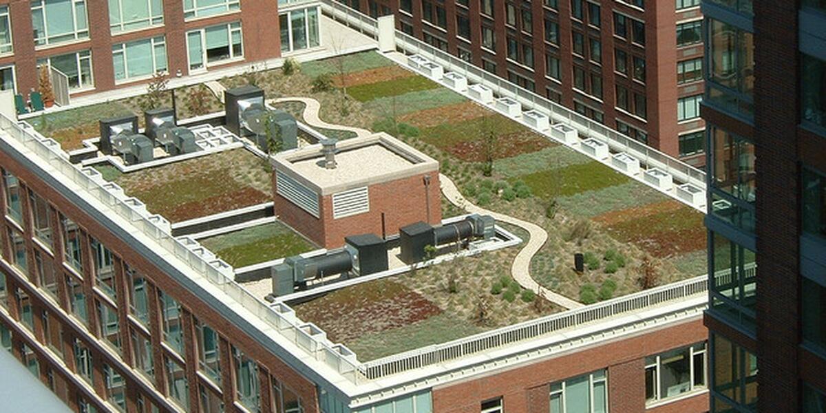 The Guide to Greening Cities | SPUR