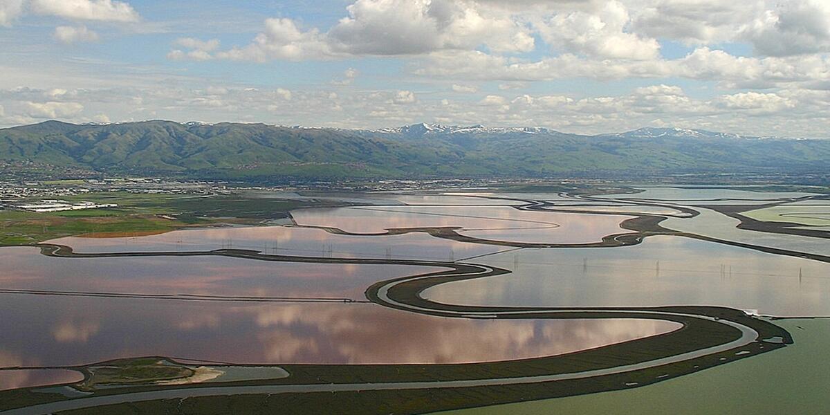 Touring the South Bay’s Salt Ponds | SPUR