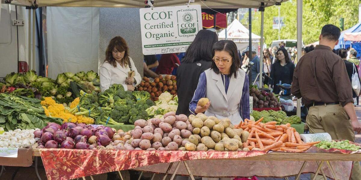 The Economic Benefits of Dramatically Expanding Healthy Food Incentives ...