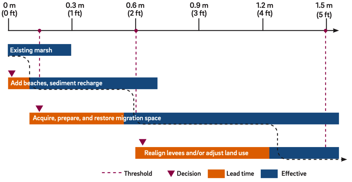Four Key Actions to Solve for Coastal Flooding and Sea Level Rise in ...