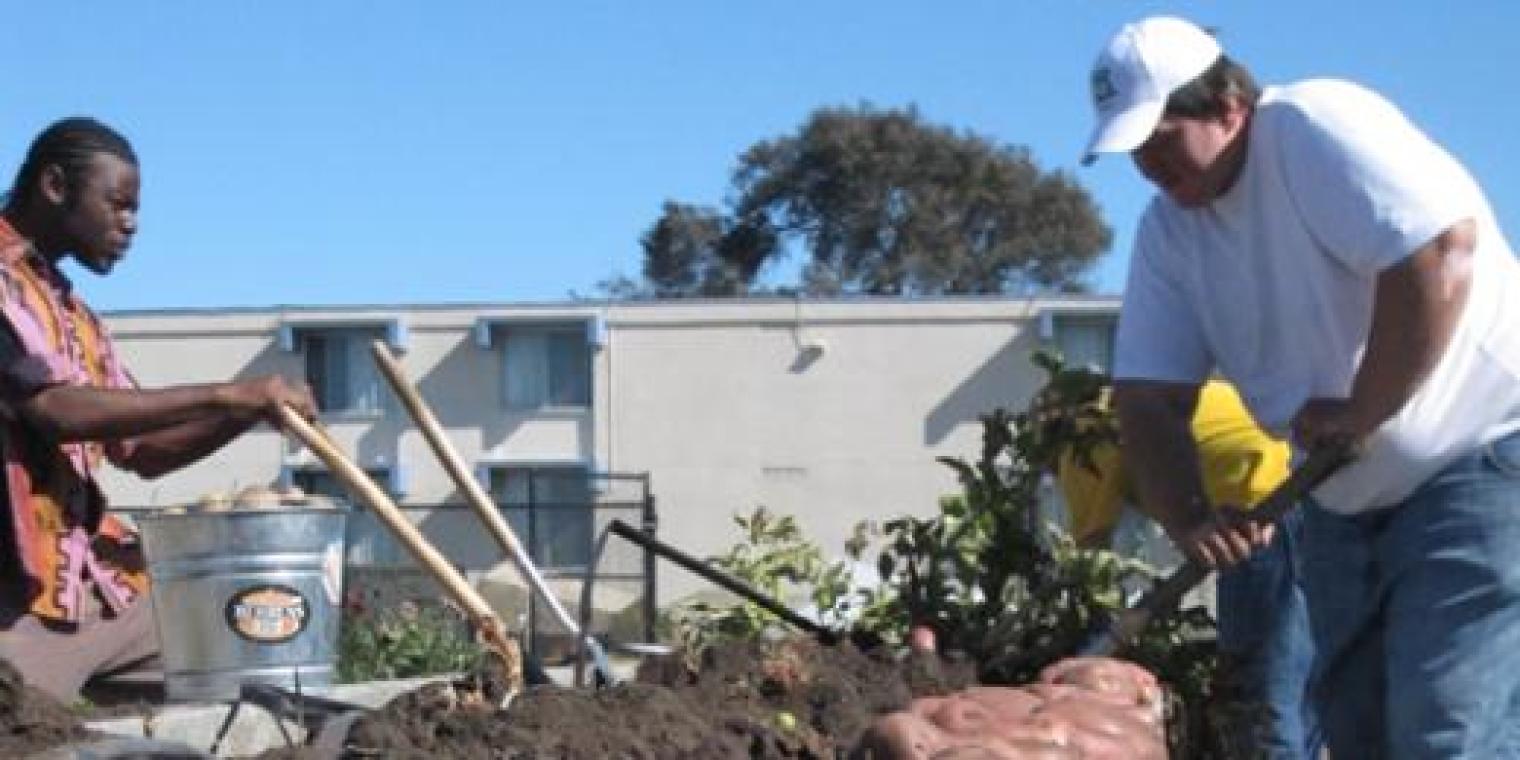 A New Season for San Francisco’s Support of Urban Agriculture | SPUR