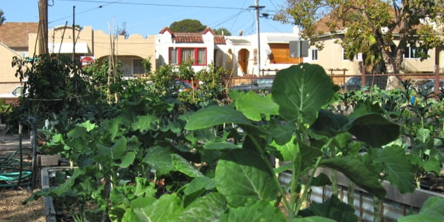 Oakland Clears the Path for New Urban Agriculture | SPUR