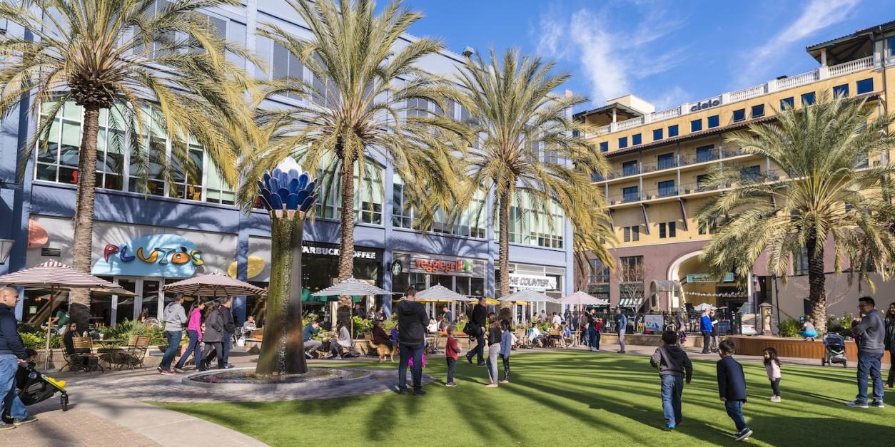 The Downfall of the Mall, the Triumph of the City and the Birth of ...