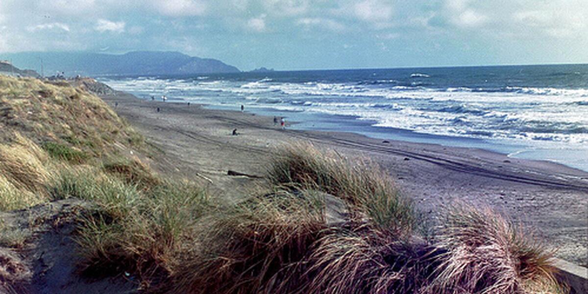 Exploring Ideas for the Future of Ocean Beach | SPUR