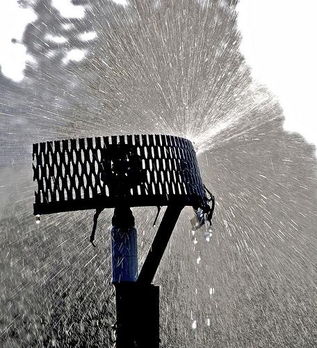 CANCELED: Running out of water | SPUR