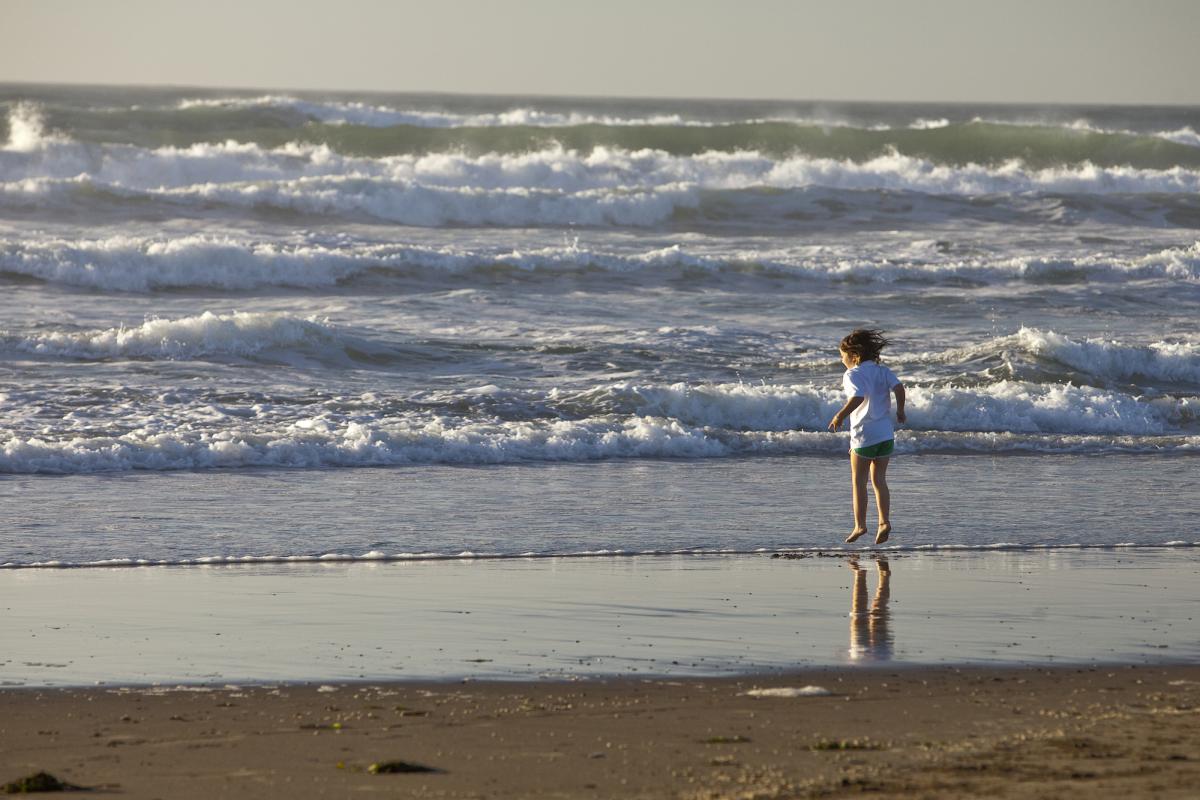 A Vision for Ocean Beach | SPUR