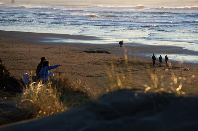 Ocean Beach Update | SPUR