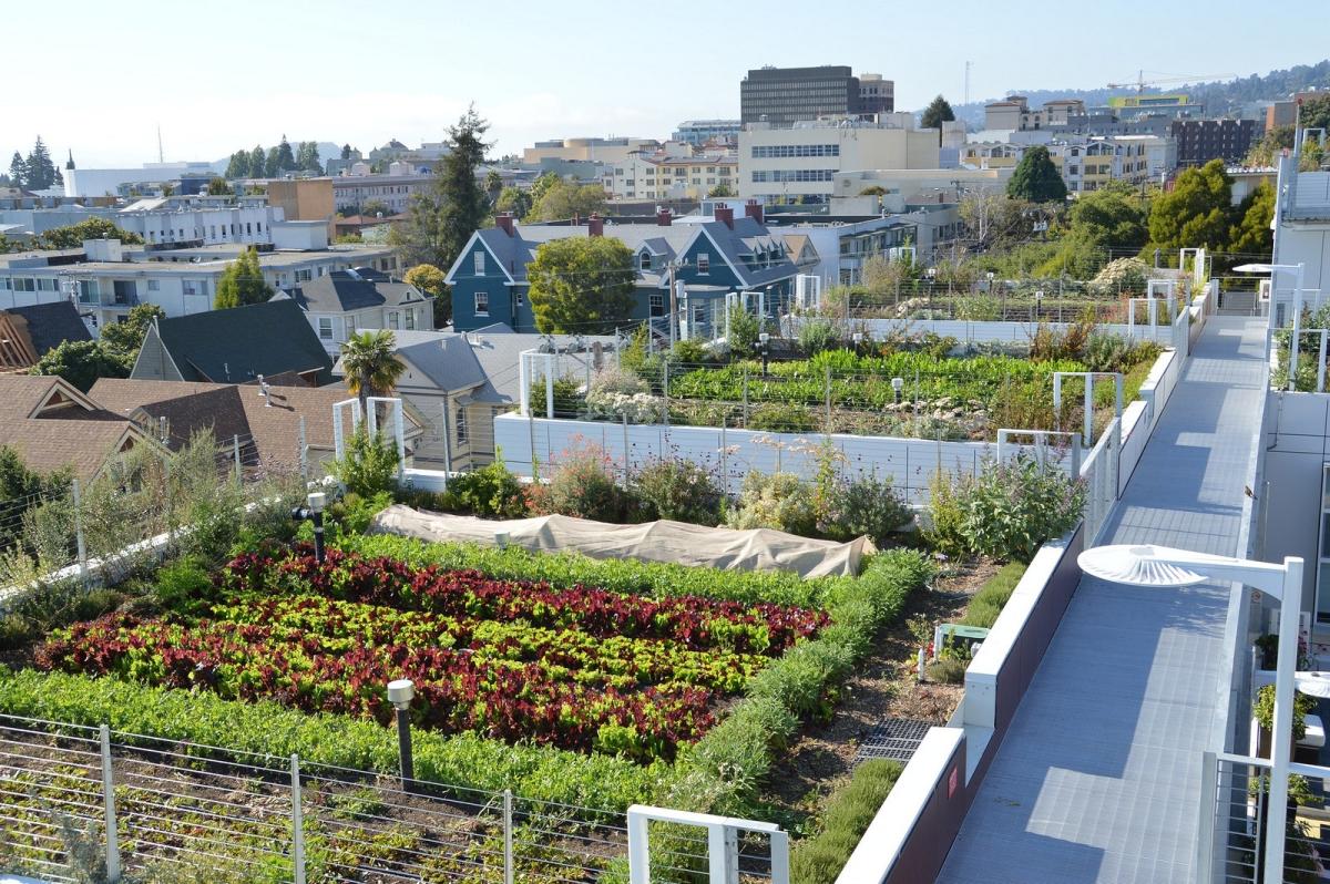 Building Better Cities With Nature | SPUR