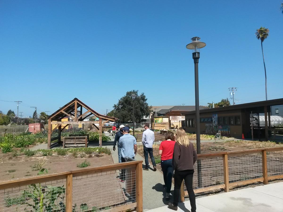 Growing Food Justice in Oakland: Tour of West Oakland's City Slicker ...