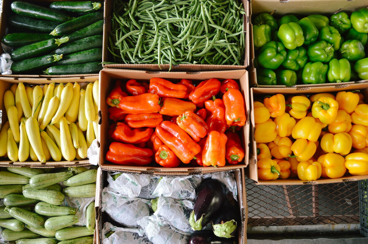 Going Deep with Dig Deep Farms [In-Person Tour] | SPUR