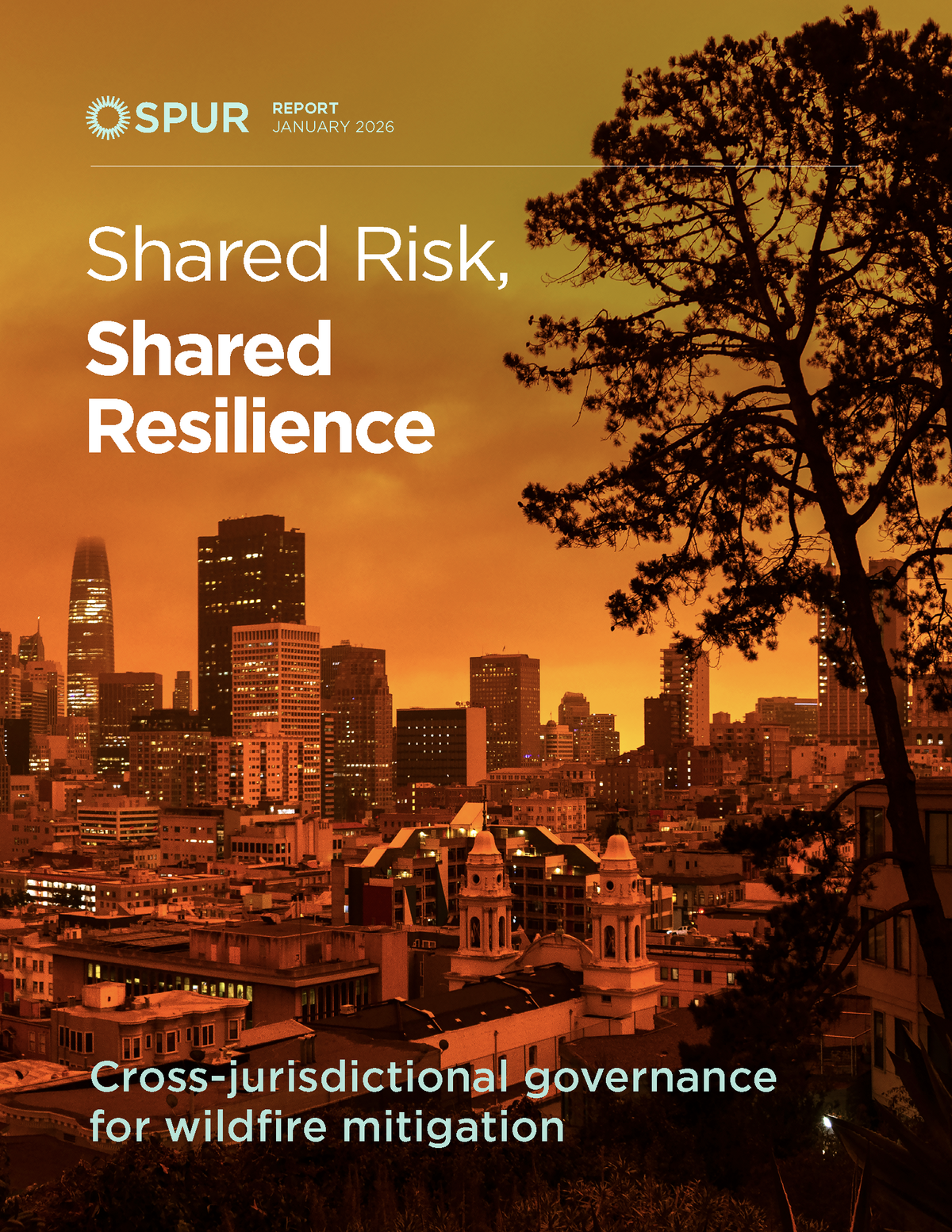 Shared Risk, Shared Resilience | SPUR